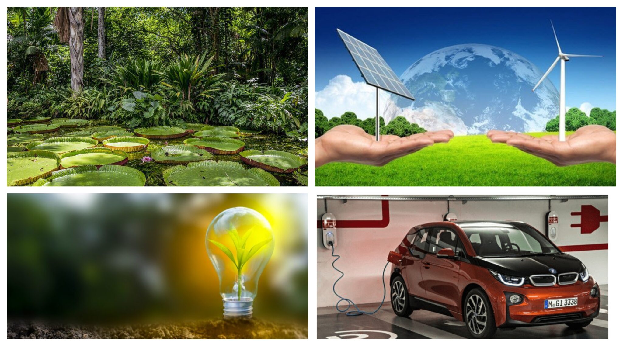 Economistas propõem um Fundo Verde de Investimentos para o Brasil ...