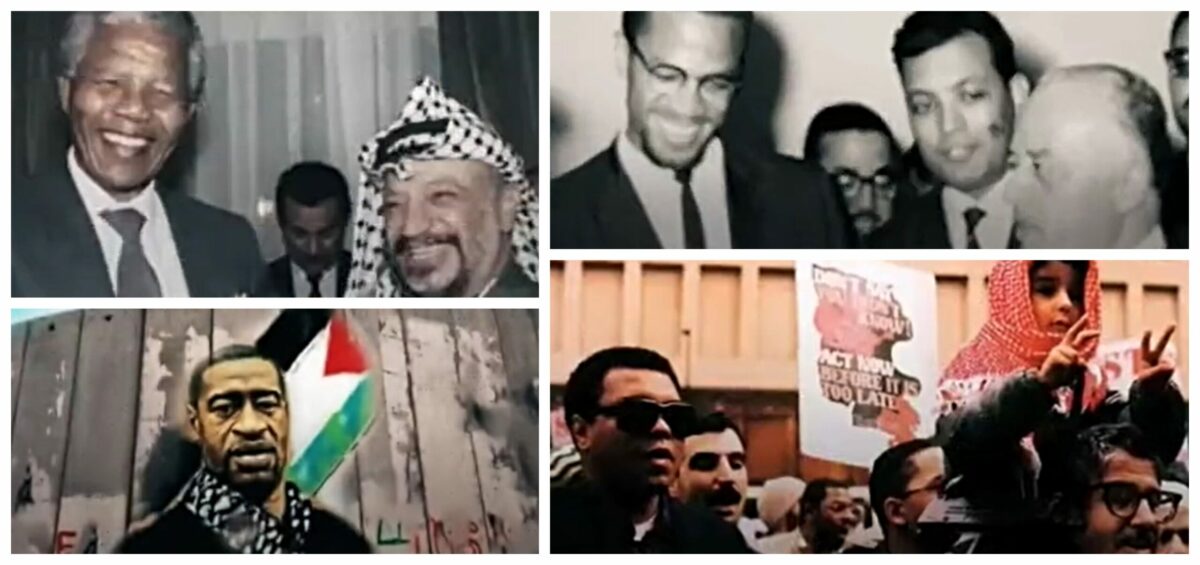 VÍDEO: A longa história de solidariedade entre os movimentos negros e ...